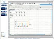 Course: Excel 2008 - Intermediate